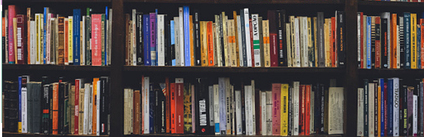 MA SANE Training: All courses